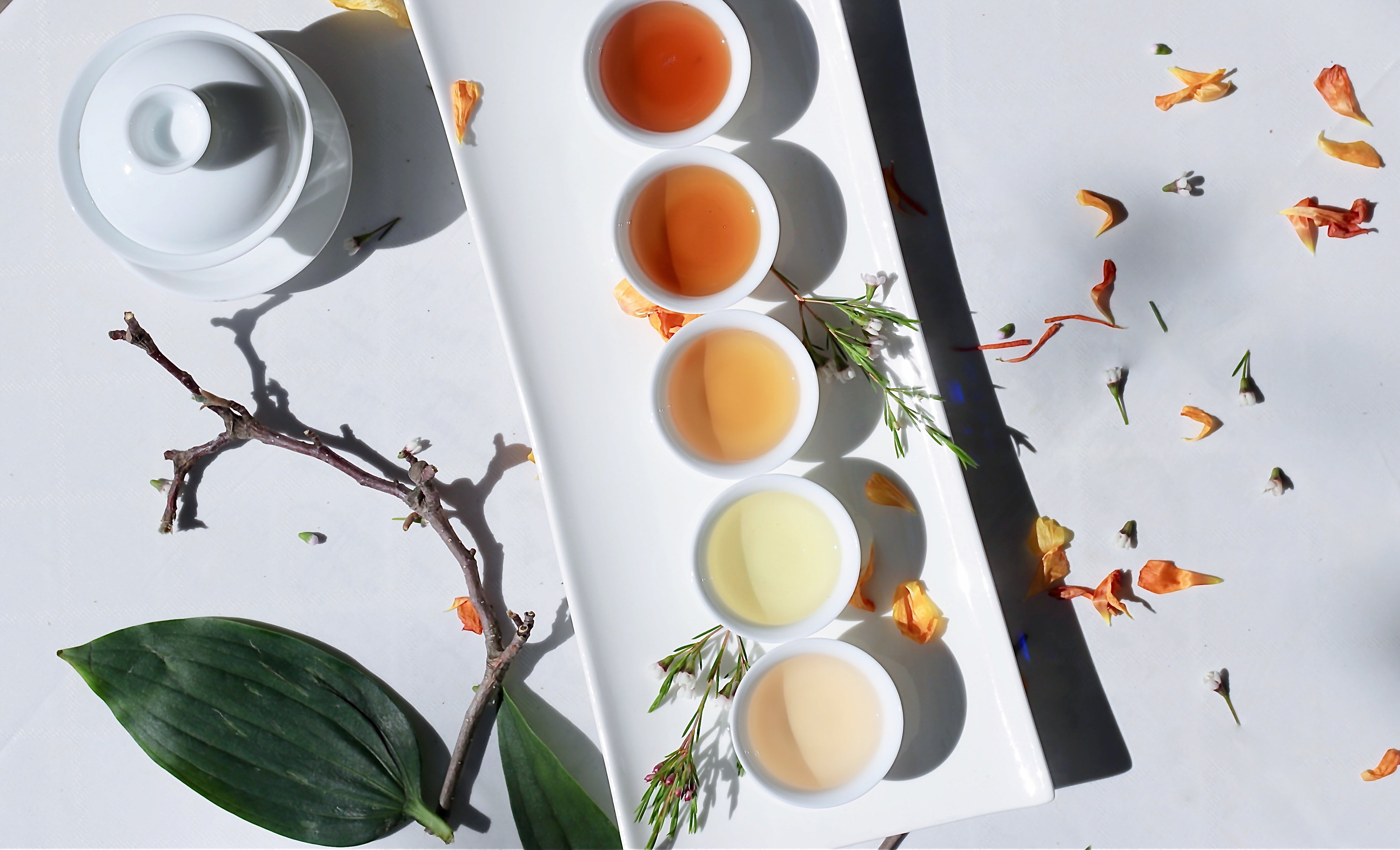 What is Red Tea? | Learn Chinese Tea Knowledge | Tea Drunk