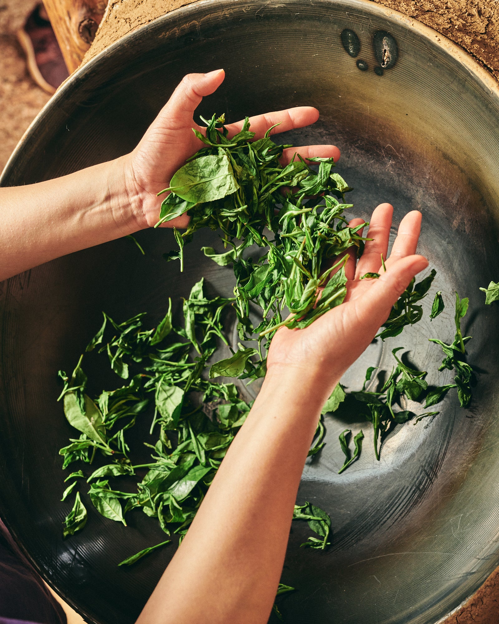 Tea Drunk | Producers of the World's Most Prized Loose Leaf Teas